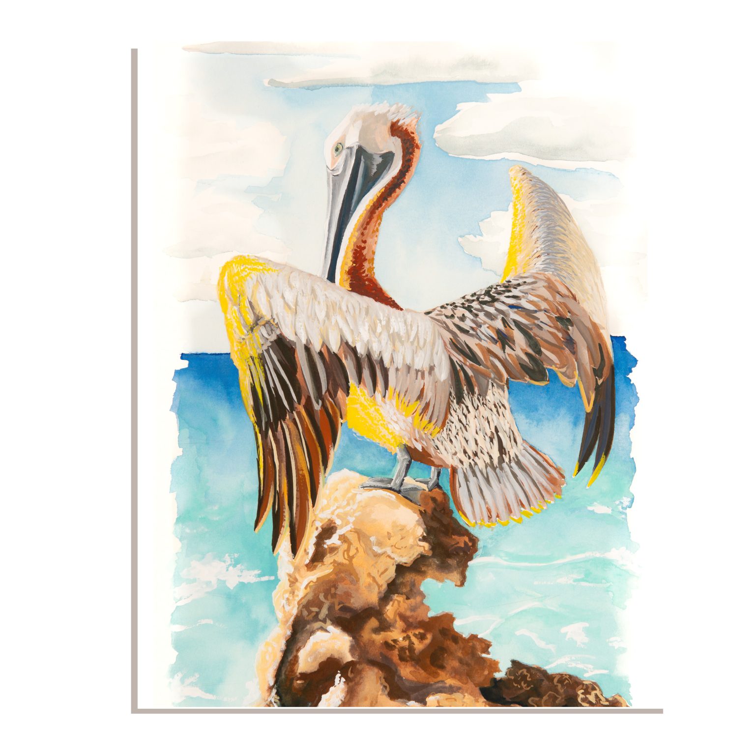 Pelican Cove » Modern Magic Art